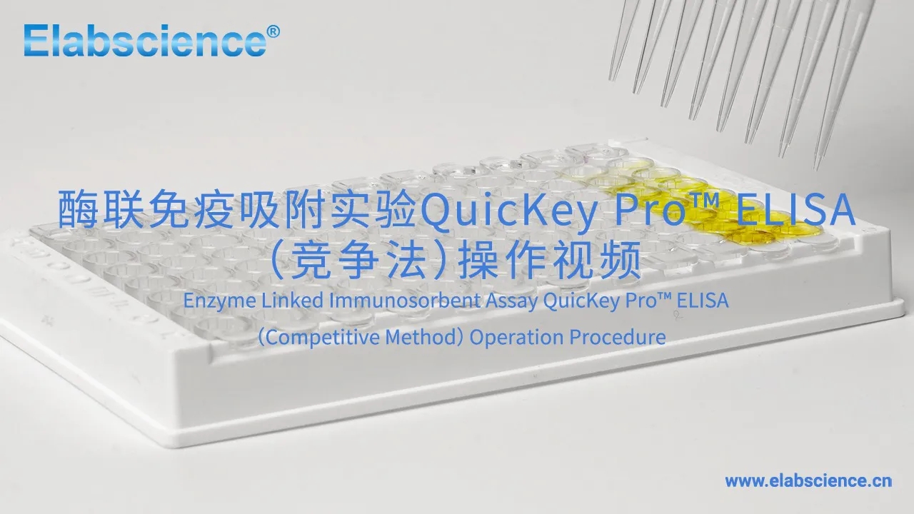 QuicKey Pro Human Cortisol ELISA Kit-Elabscience伊莱瑞特【官网】