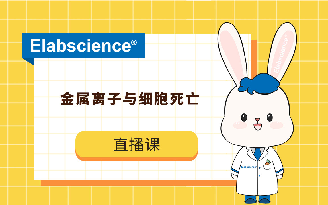 尿素（BUN）比色法测试盒（脲酶法）（E-BC-K183-M）-Elabscience伊莱瑞特