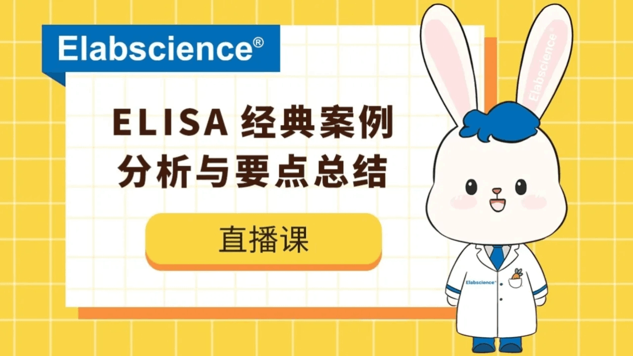 3磷酸肌醇(IP3)酶联免疫吸附测定试剂盒（E-EL-0059）-Elabscience伊莱瑞特