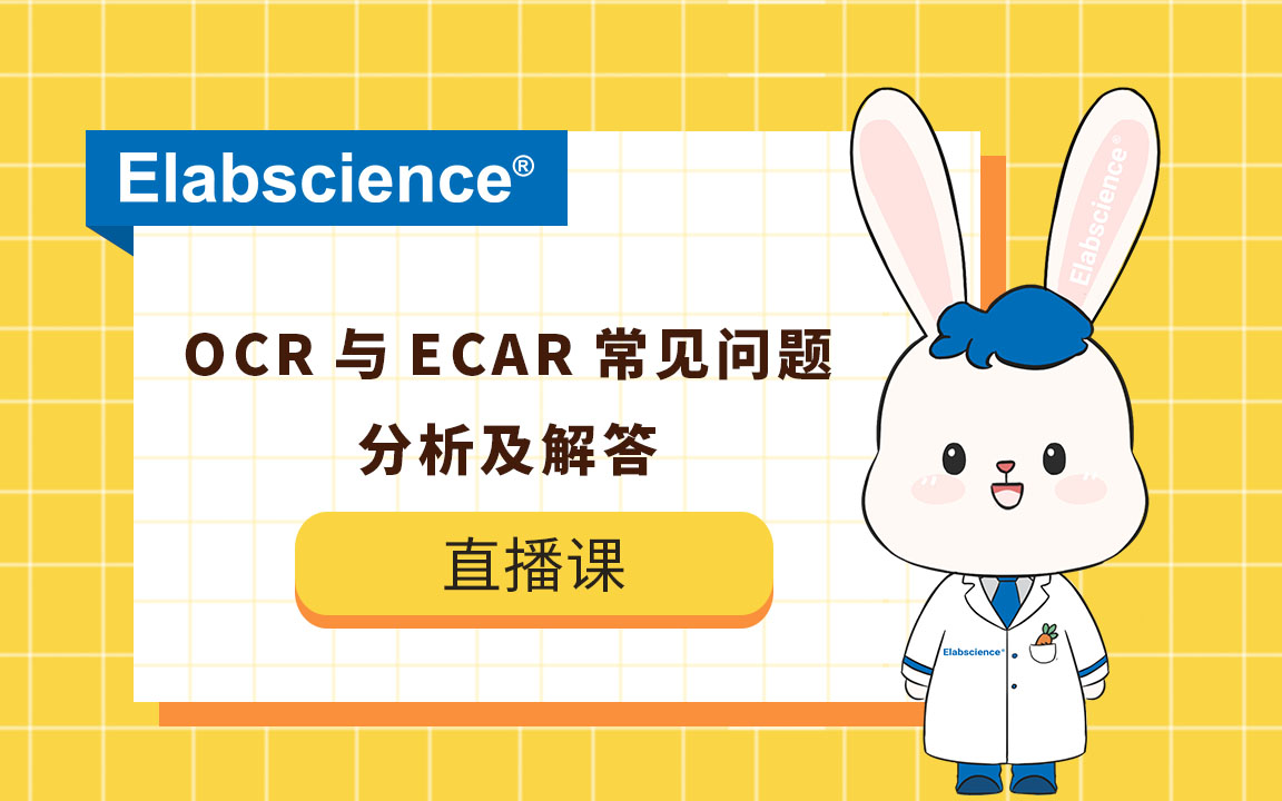 铁死亡抑制蛋白1（FSP-1）荧光法测试盒（E-BC-F022）-Elabscience伊莱瑞特