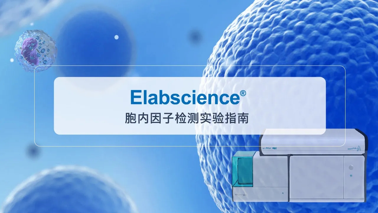 APC Anti-Mouse CD45 Antibody[30-F11]（E-AB-F1136E）-Elabscience伊莱瑞特