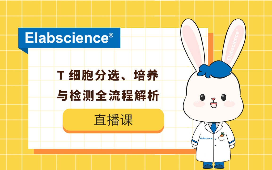 PerCP/Cyanine5.5 Anti-Mouse CD45 Antibody[30-F11]（E-AB-F1136J）-Elabscience伊莱瑞特